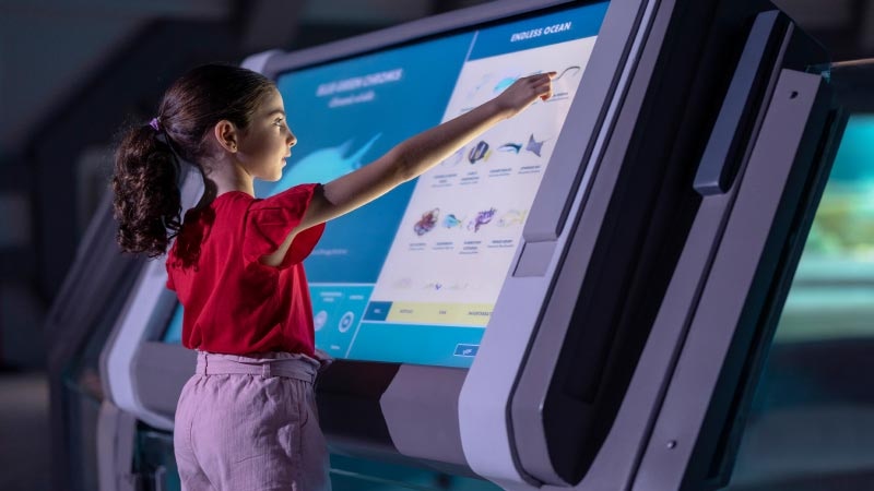 Amazing Interactive Experiences & Rides For All Ages