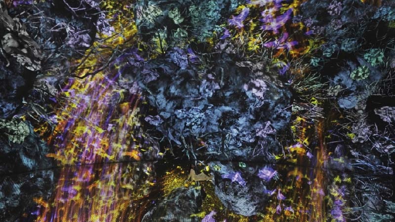 Buy teamLab Phenomena Tickets - Experience Interactive Art